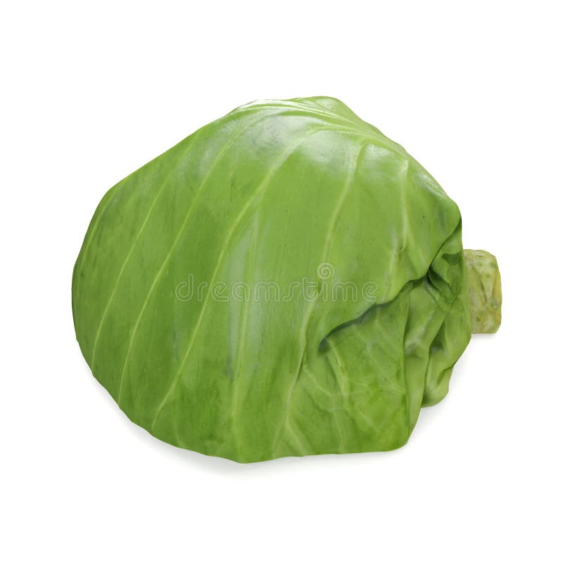 Half Head Cabbage Stock Illustrations – 235 Half Head Cabbage Stock ...