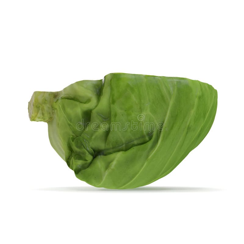 Cabbage Half 3d Illustration Isolated on White Background Isolated ...