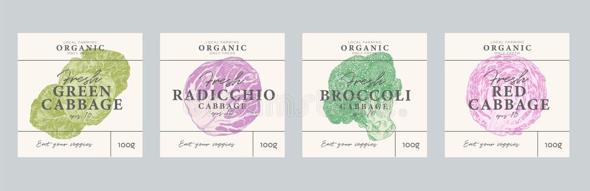 Label Cabbage Stock Illustrations – 2,737 Label Cabbage Stock ...