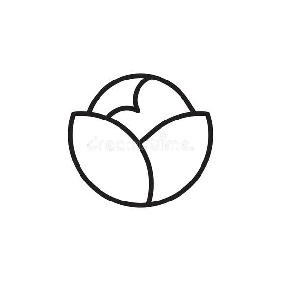 Cabbage Icon Flat Line Illustration Stock Vector - Illustration of ...
