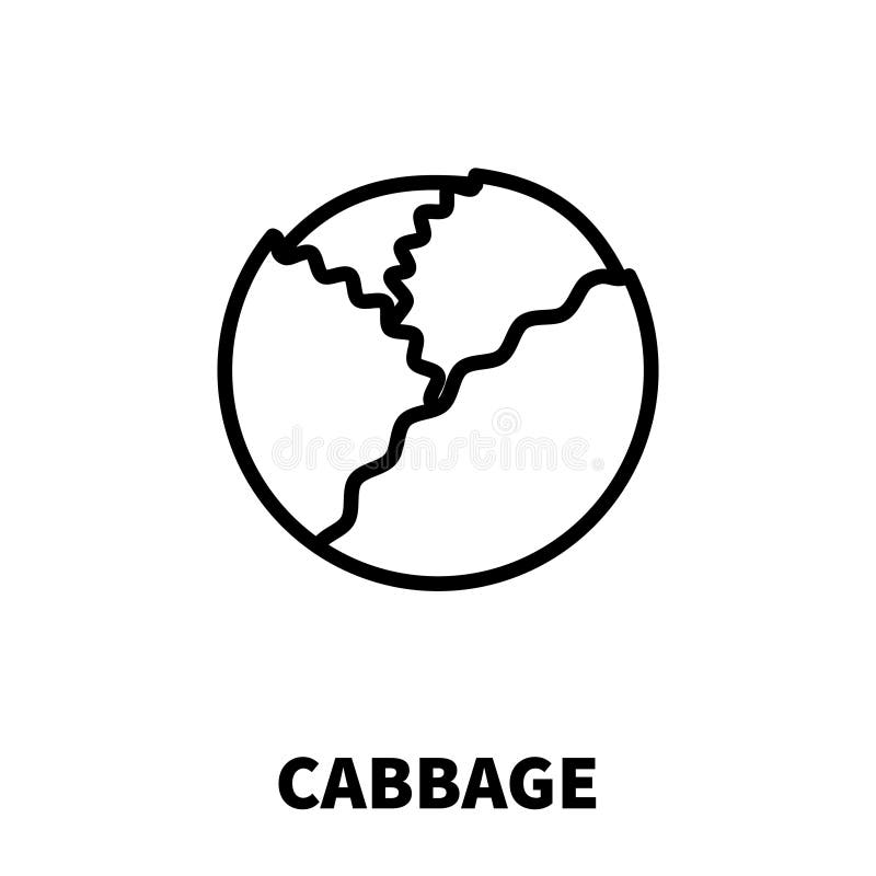 Cabbage Icon or Logo in Modern Line Style. Stock Vector - Illustration ...