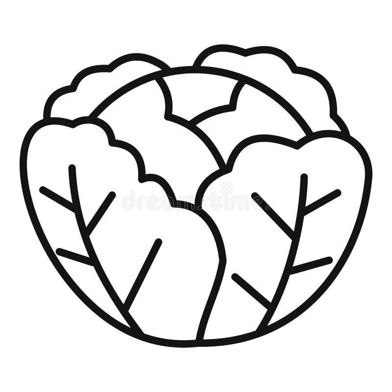 Cabbage Icon, Outline Style Stock Vector - Illustration of nature ...