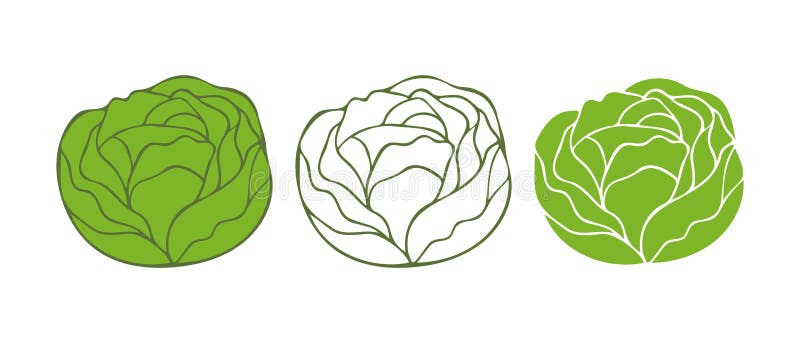 Cabbage Icon Set, Logo Label Sticker, Element for Design, Isolated on ...
