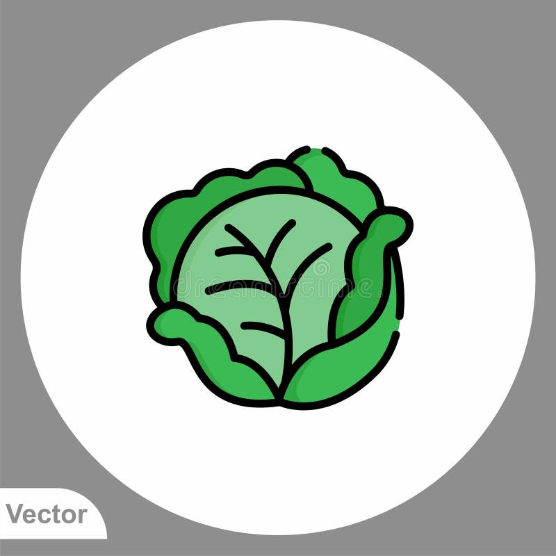 Cabbage Vector Icon Sign Symbol Stock Vector - Illustration of kitchen ...