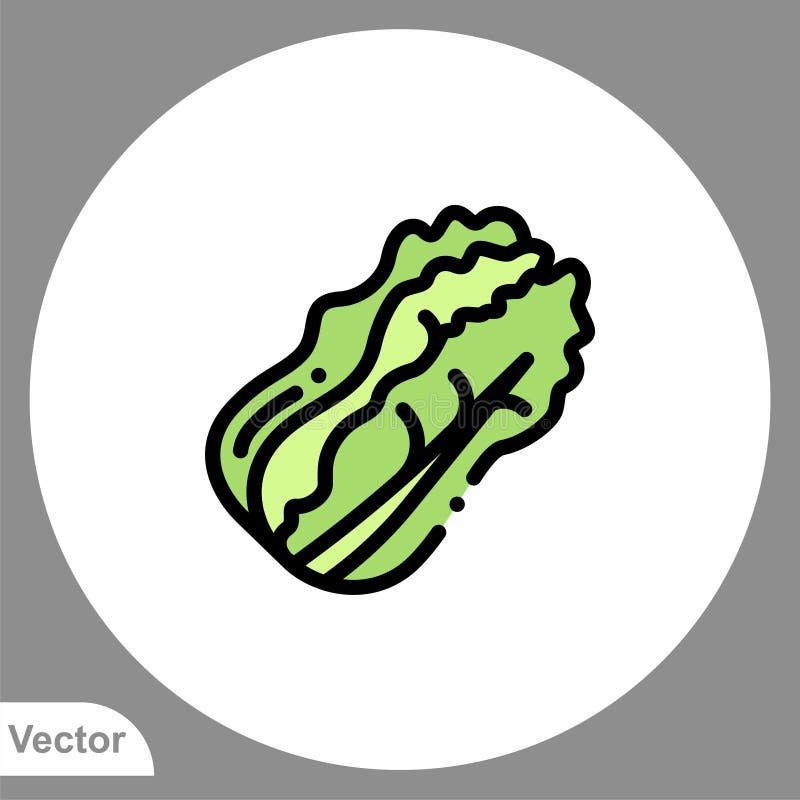 Cabbage Vector Icon Sign Symbol Stock Vector - Illustration of food ...