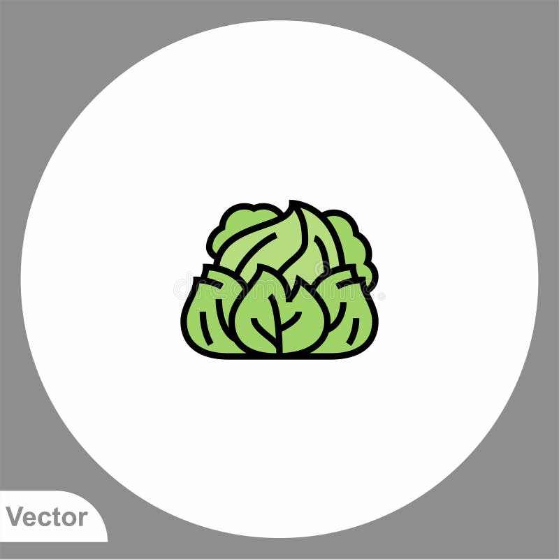 Cabbage Vector Icon Sign Symbol Stock Vector - Illustration of food ...