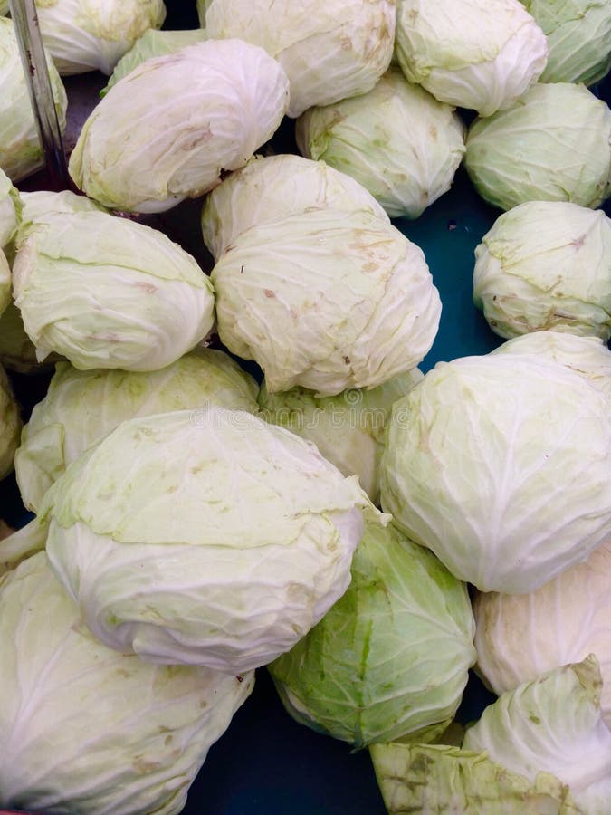 Cabbage stock photo. Image of cabbage, market, selling - 57634206