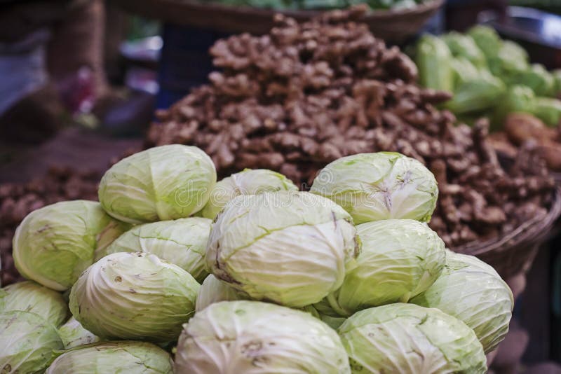 Cabbage at Indian Vegetable Market Stock Photo - Image of seller ...