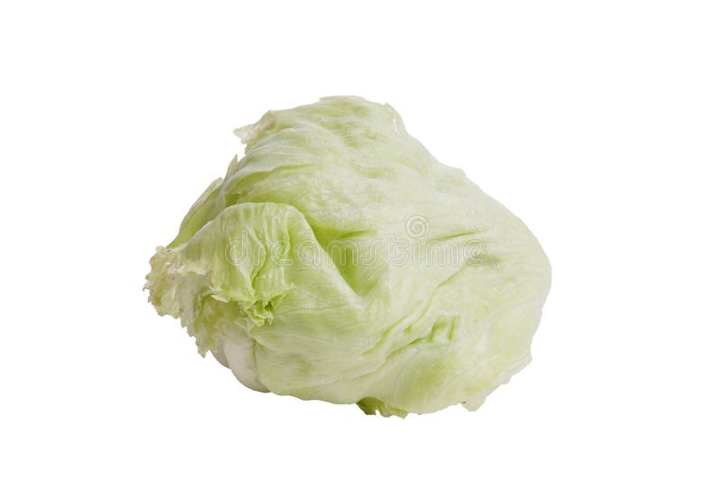 Cabbage isolate on white stock image. Image of breakfast - 26430763
