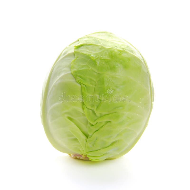 Cabbage isolated stock image. Image of diet, meal, nutrition - 26498949
