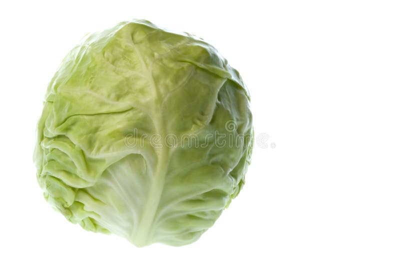Cabbage Isolated stock image. Image of closeup, nature - 6264817
