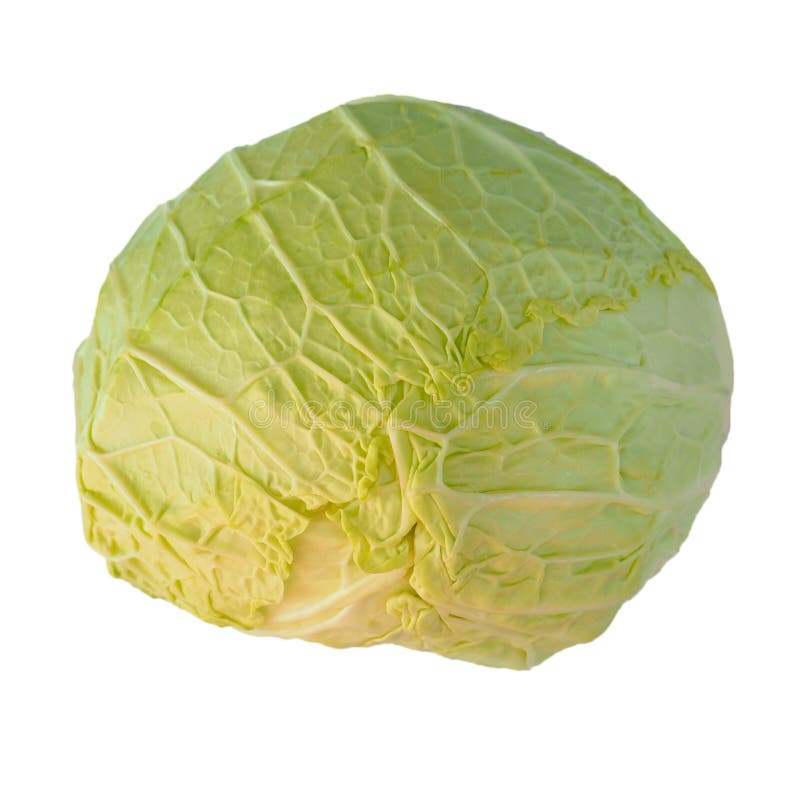 Cabbage isolated stock photo. Image of flora, nature - 46017194