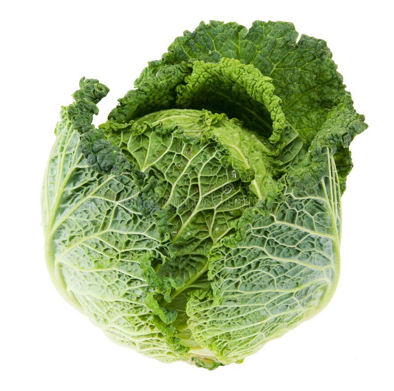 Cabbage stock photo. Image of edible, juicy, fresh, ingredient - 29790658