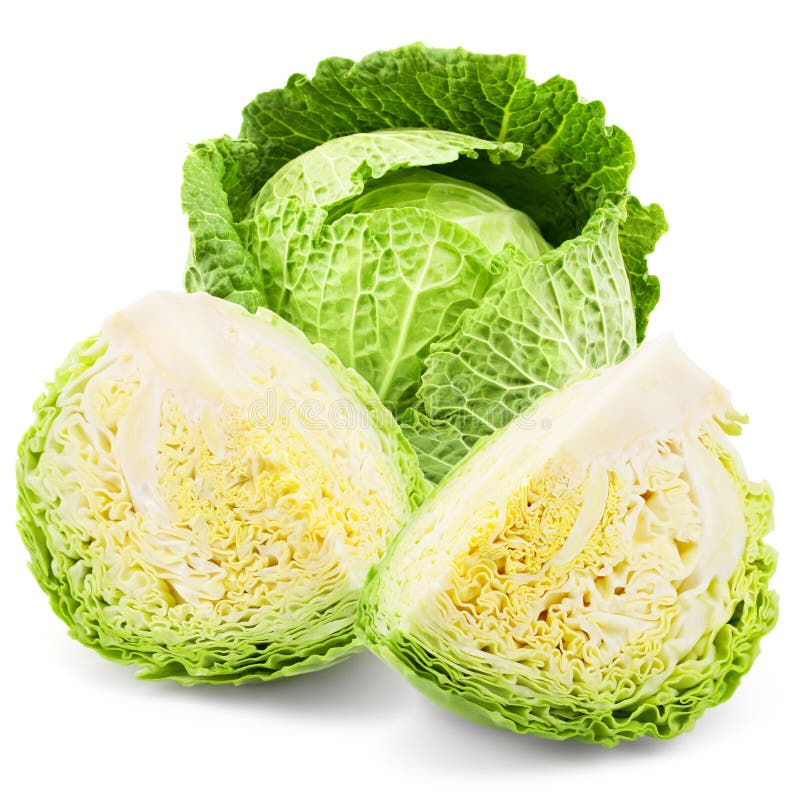 Cabbage isolated stock image. Image of green, ripe, vegetarian - 20457015