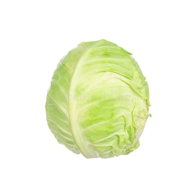 Cabbage isolated on white stock photo. Image of diet - 60925236