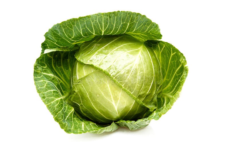 Cabbage Isolated On A White Background.und. Stock Image - Image: 5913263