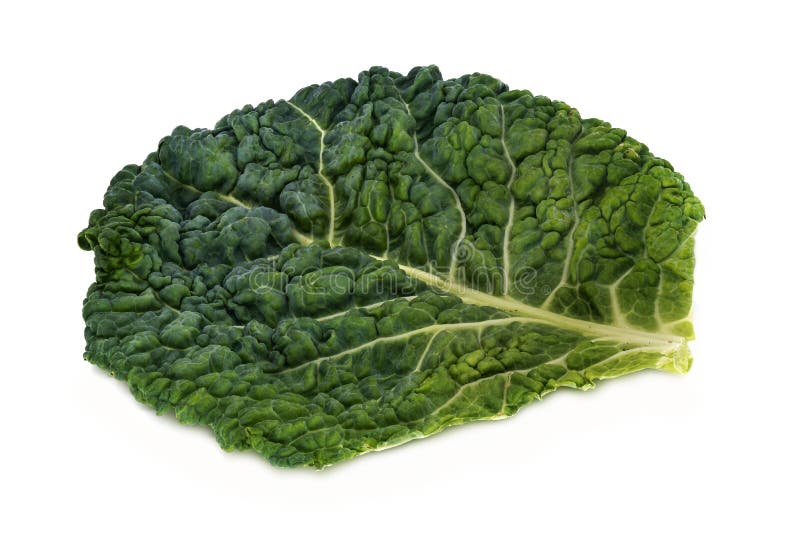 Cabbage Leaf Close Up stock image. Image of agriculture - 198630073