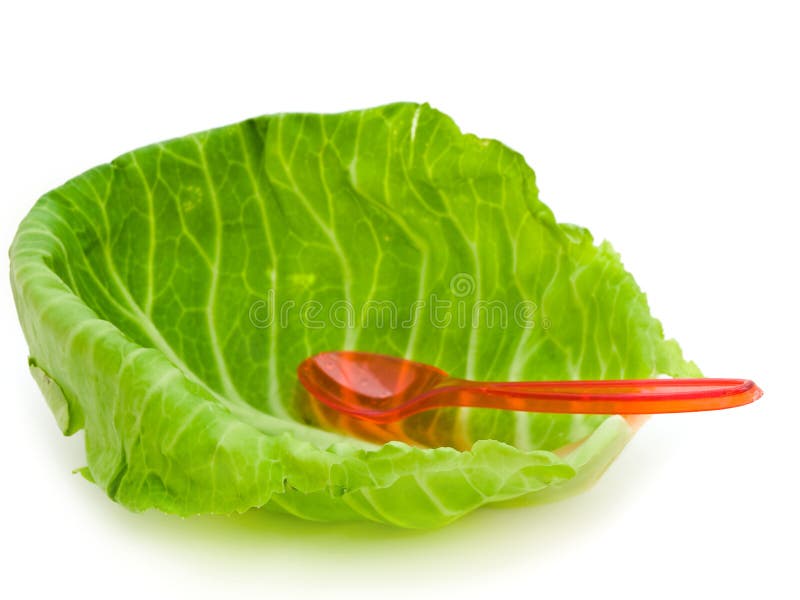 Cabbage leaf and spoon stock image. Image of foliage - 10041751