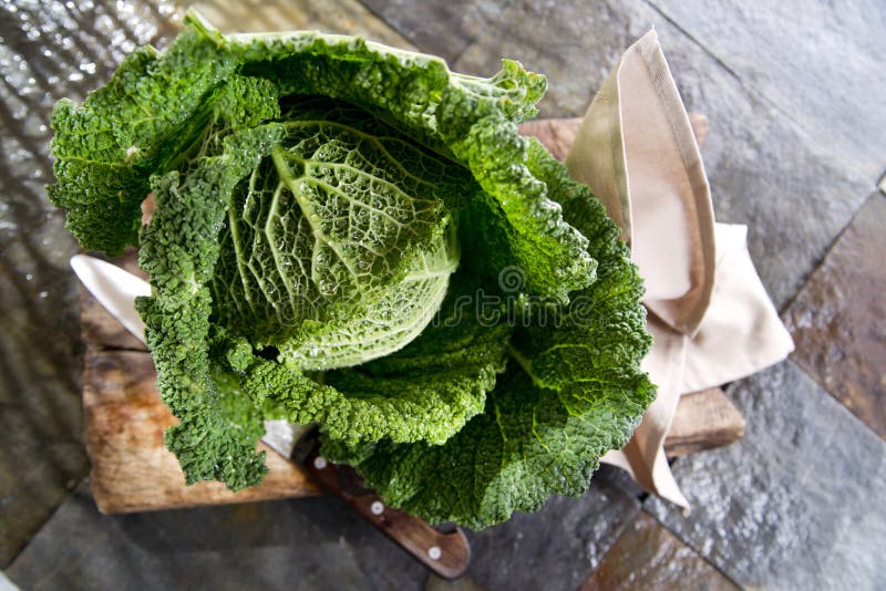 Cabbage Leaves stock image. Image of healthy, cabbage - 34890243