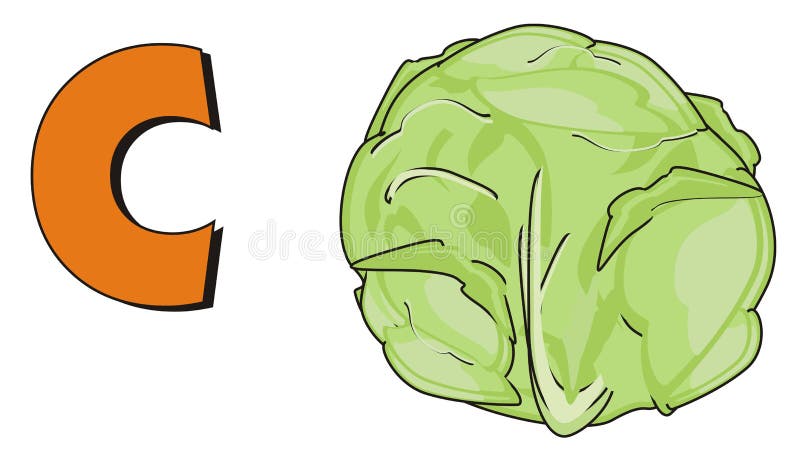 Cabbage with letter stock illustration. Illustration of letter - 90225192