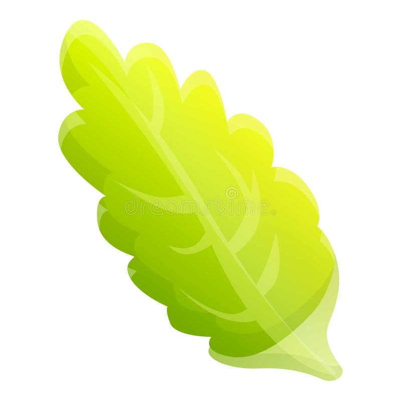 Cartoon Lettuce Leaf Sign Stock Illustrations – 766 Cartoon Lettuce ...