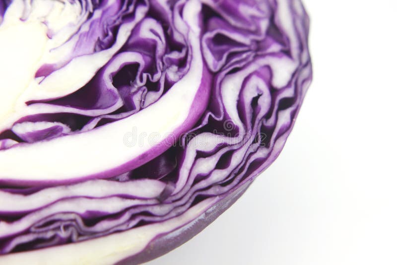 Cabbage stock image. Image of green, harvest, health - 42765523