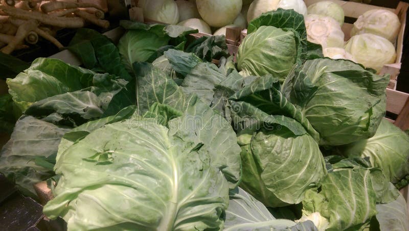 Cabbage in market stock photo. Image of leaf, vegetable - 70514084
