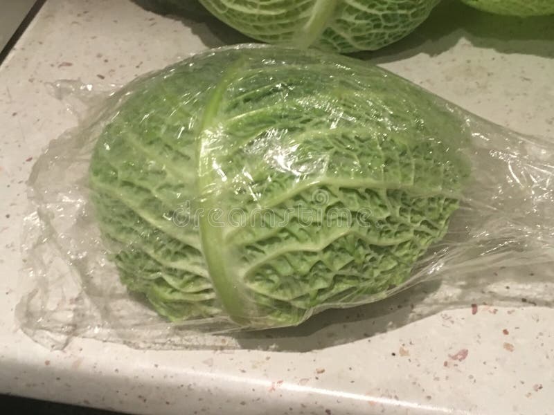 Cabbage stock photo. Image of recipe, bowl, packed, dehydrated - 87288996