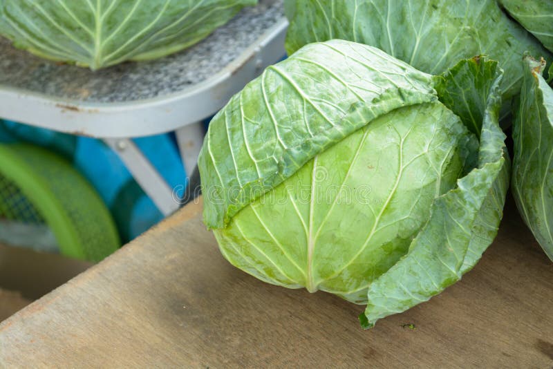 Cabbage stock photo. Image of natural, fresh, food, piece - 46628706