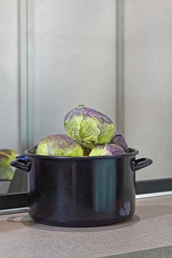 Cabbage in pot stock image. Image of cabbage, vegetarian - 194904057