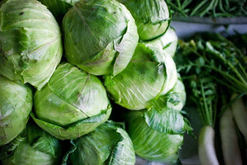 Cabbage and Radish on Market. Stock Photo - Image of green, fresh: 13902180