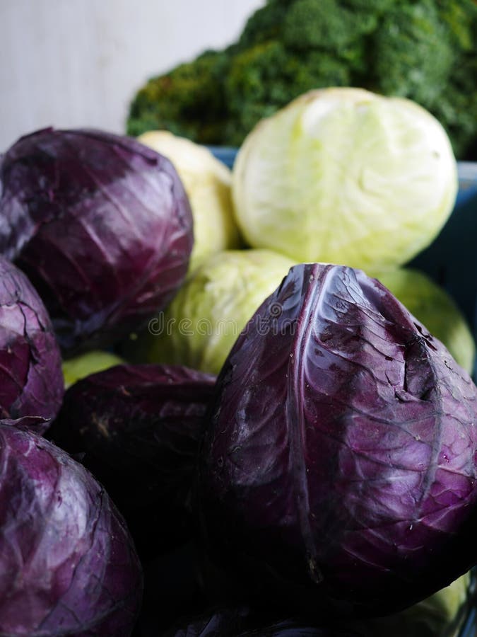 Cabbage stock image. Image of assortment, arrangement - 30791801
