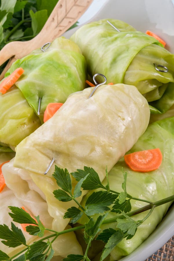 Cabbage roll stock photo. Image of cooked, dish, leaf - 42065980
