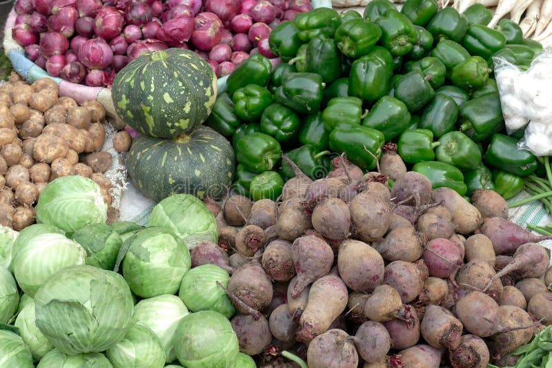 Cabbage and Root Vegetables in a Market Stock Photo - Image of food ...
