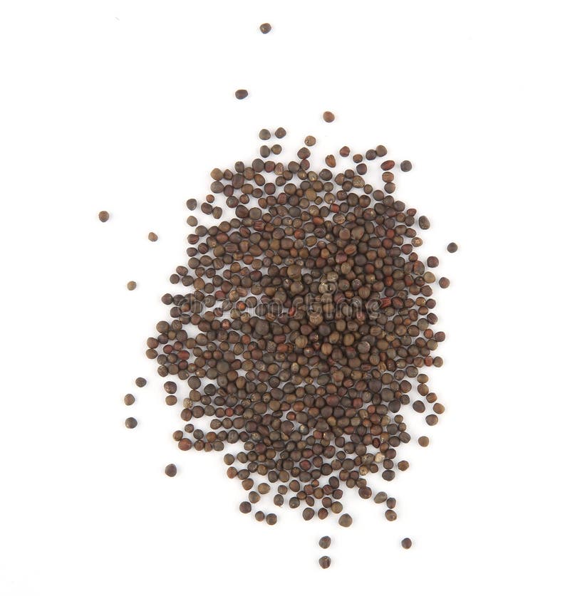 Cabbage Seeds Isolated on White Background. Stock Image - Image of ...