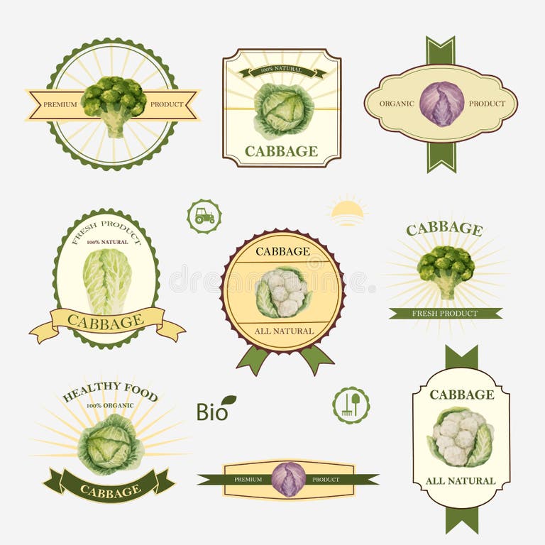 Cabbage, Set of Label Design Stock Vector - Illustration of logo ...