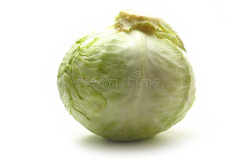 Cabbage stock photo. Image of farming, young, fertilizer - 32718440
