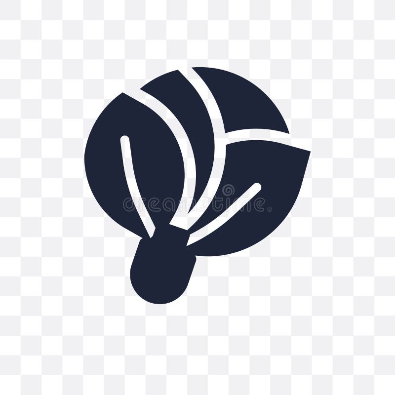 Cabbage Transparent Icon. Cabbage Symbol Design from Fruit and V Stock ...