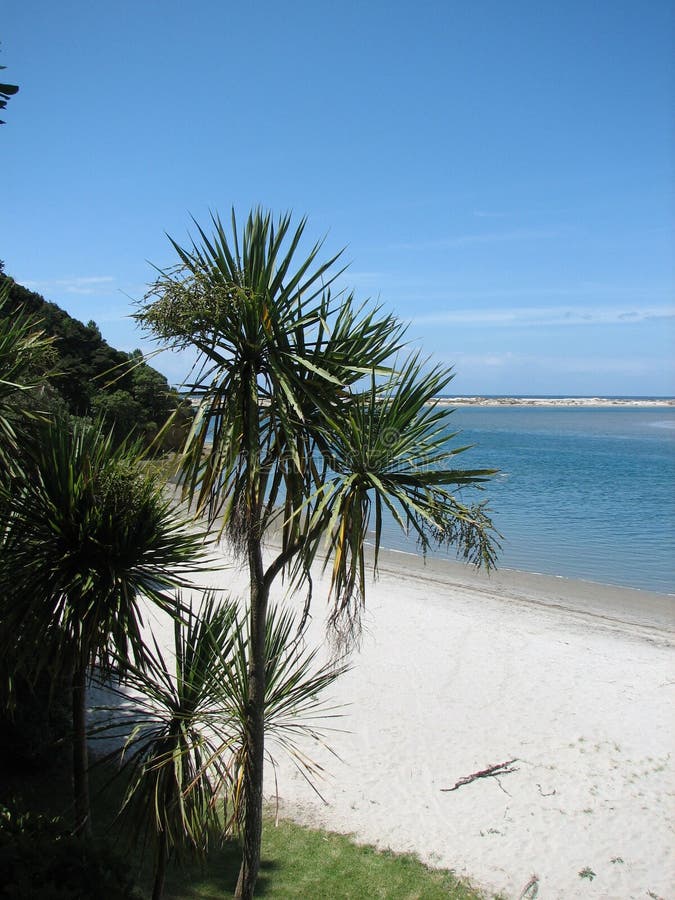 Pouto Lighthouse - Kaipara, Northland, New Zealand Stock Photo - Image ...