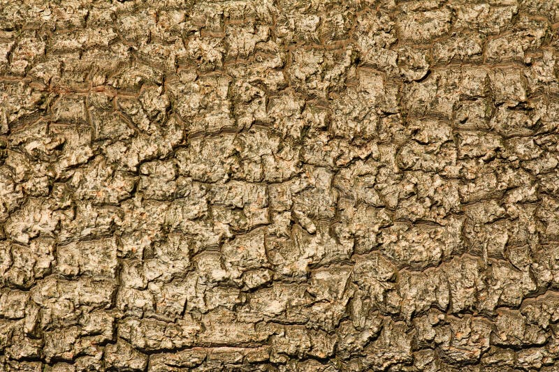 Monocoy Stock Photos - Free & Royalty-Free Stock Photos from Dreamstime