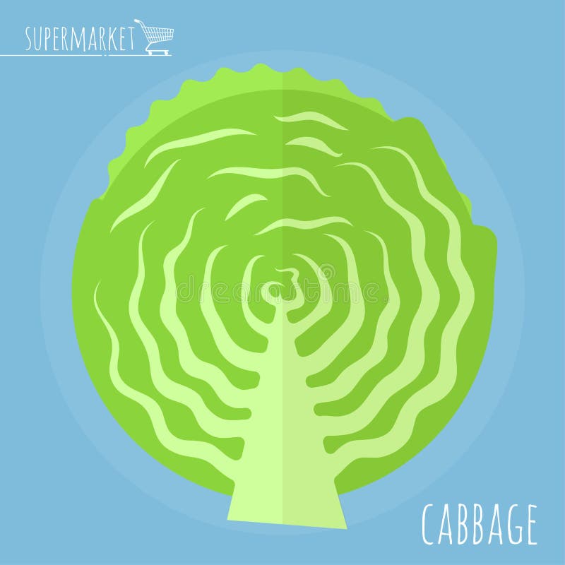 Cabbage vector icon stock vector. Illustration of diet - 85311599