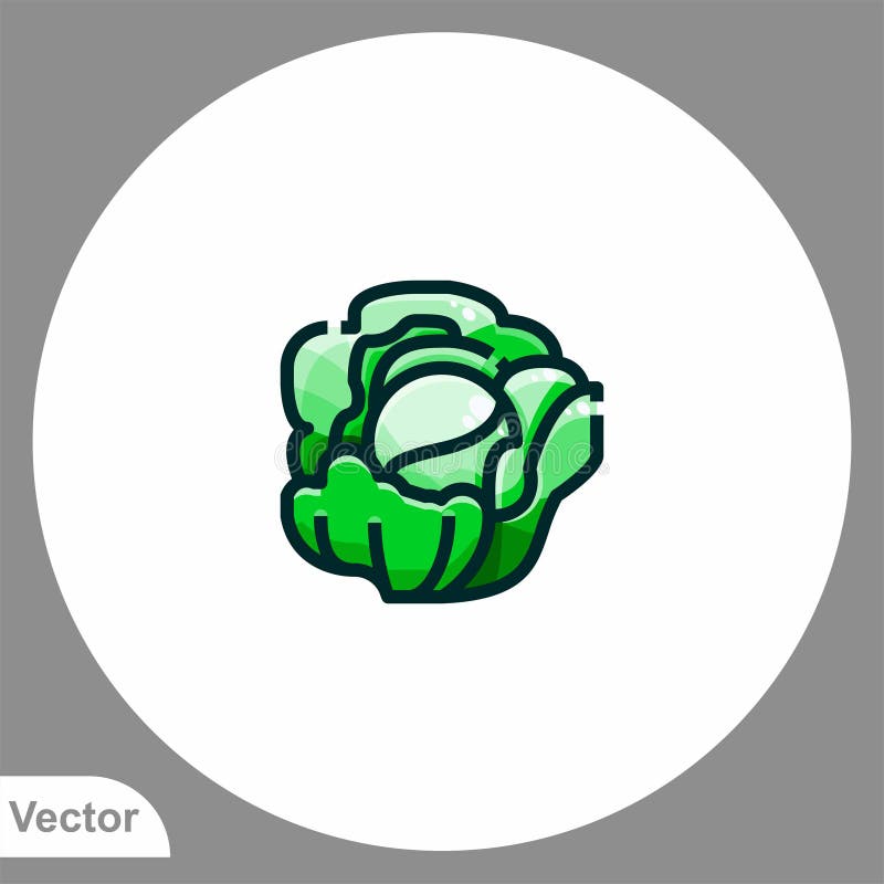 Cabbage Vector Icon Sign Symbol Stock Vector - Illustration of leaf ...