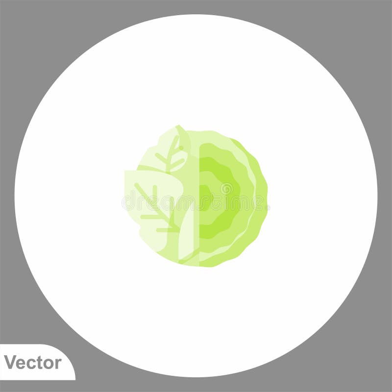 Cabbage Vector Icon Sign Symbol Stock Vector - Illustration of graphic ...