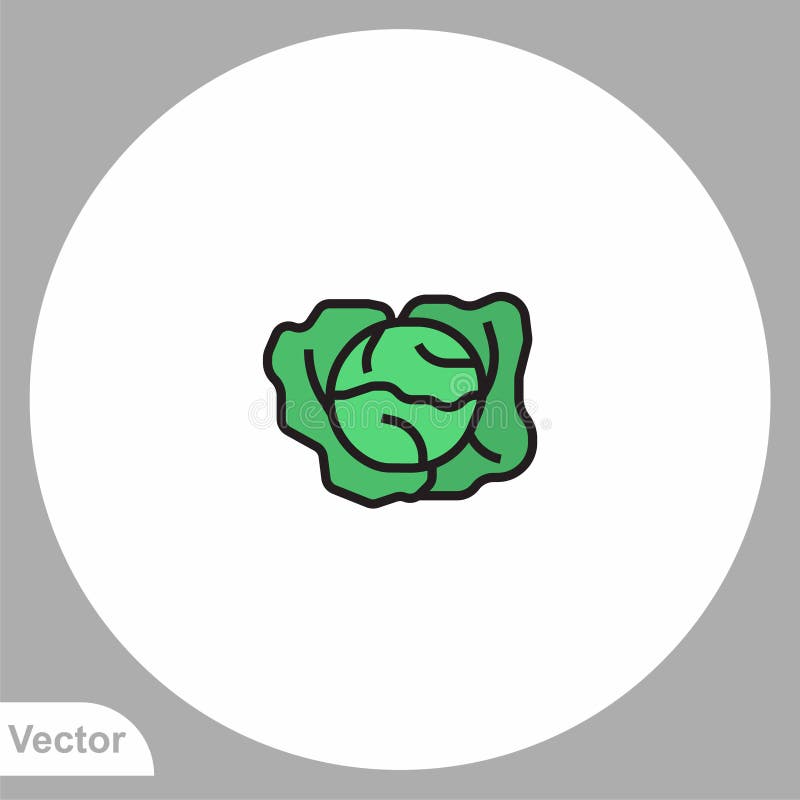 Cabbage Vector Icon Sign Symbol Stock Vector - Illustration of carrot ...