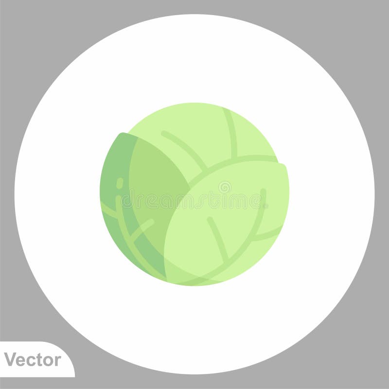 Cabbage Vector Icon Sign Symbol Stock Vector - Illustration of fresh ...