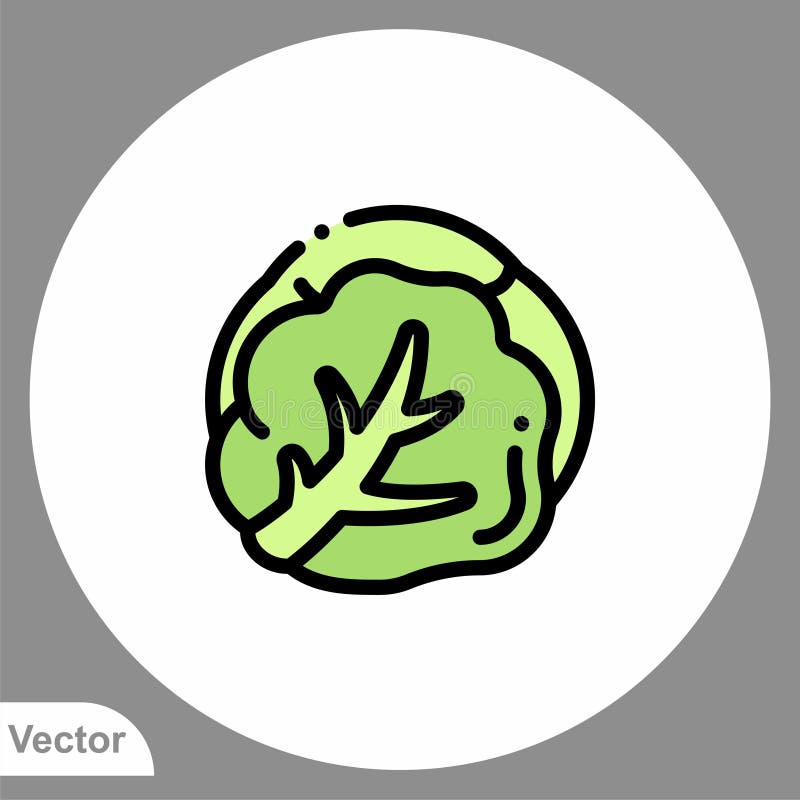 Cabbage Vector Icon Sign Symbol Stock Vector - Illustration of cartoon ...