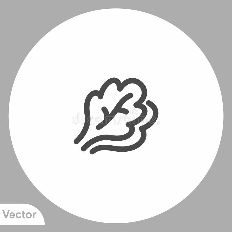 Cabbage Vector Icon Sign Symbol Stock Vector - Illustration of healthy ...