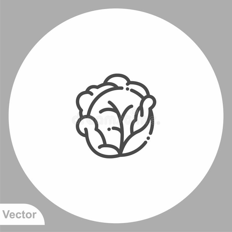 Cabbage Vector Icon Sign Symbol Stock Vector - Illustration of nature ...