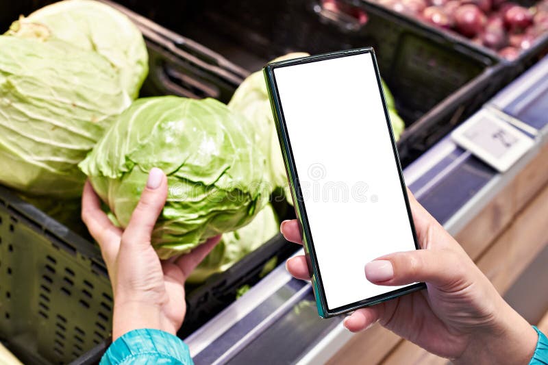 Cabbage Vegetable in Hand and Smartphone Isolated White Stock Image ...