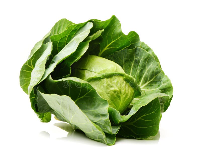Cabbage Vegetable with Leafs Stock Image - Image of edible, coles ...